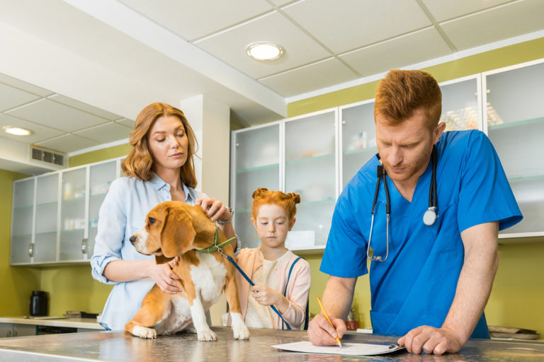 Veterinary Practice Management | Tips and Advice