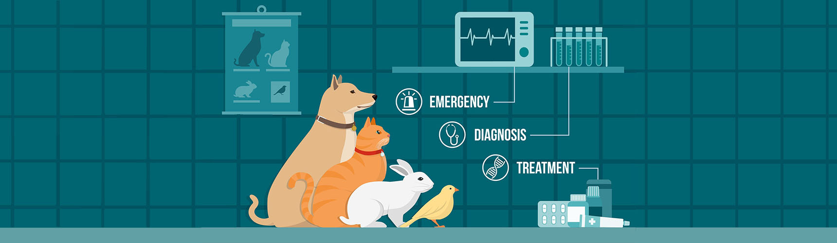 Veterinary Practice Management | Tips and Advice