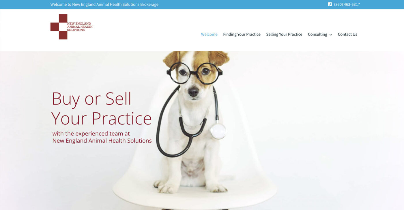 Veterinary Practice Brokers and Advisors in 2023