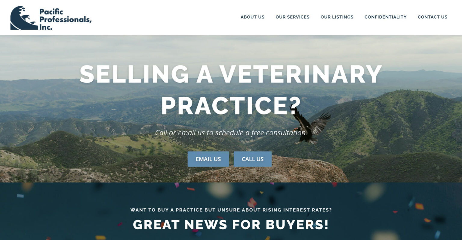 Veterinary Practice Brokers and Advisors in 2023
